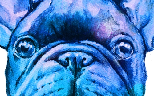 Frenchie's ADDY Award-Winning Packaging - The Martin Group